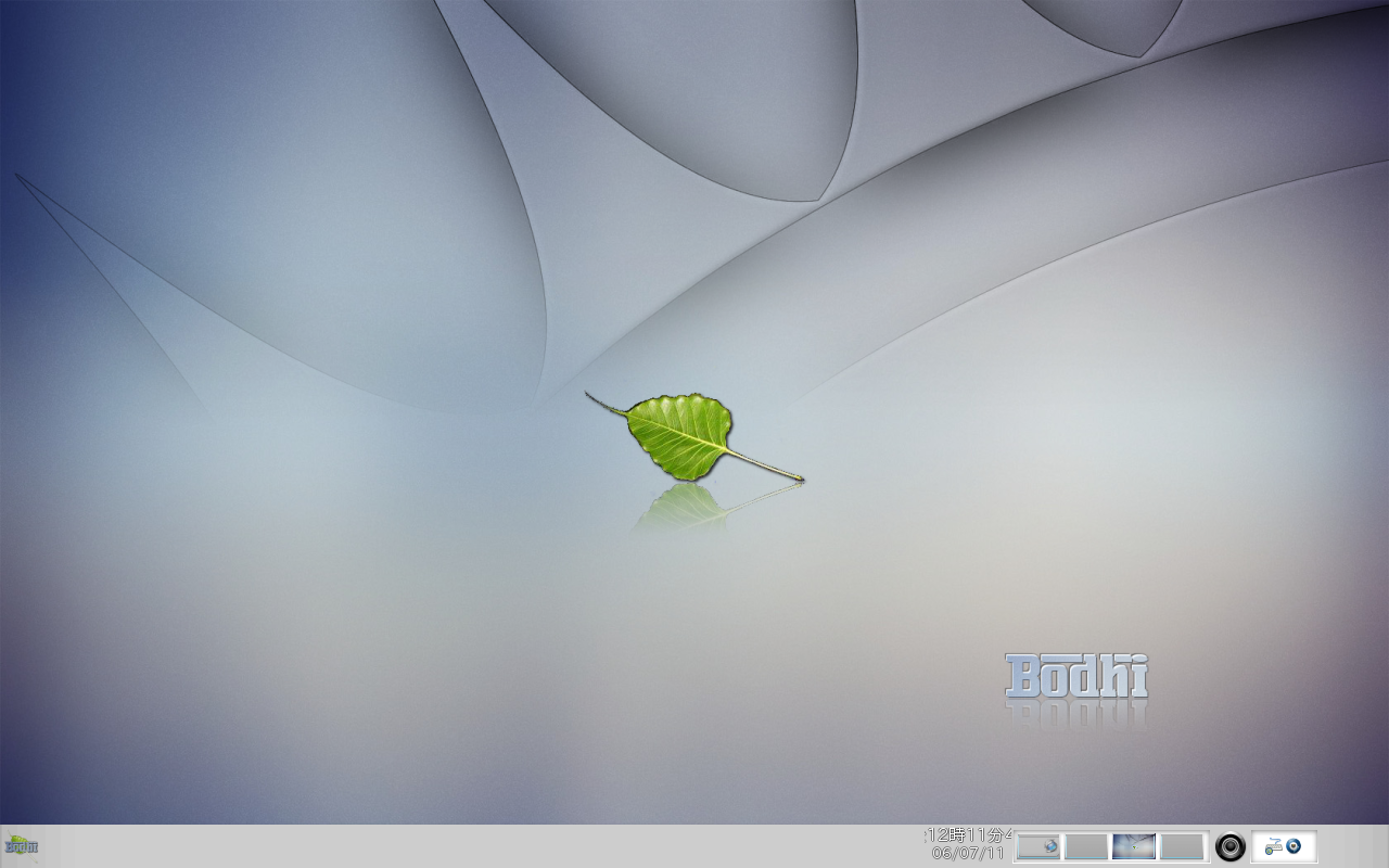 Bodhi-linux: Who is pc?